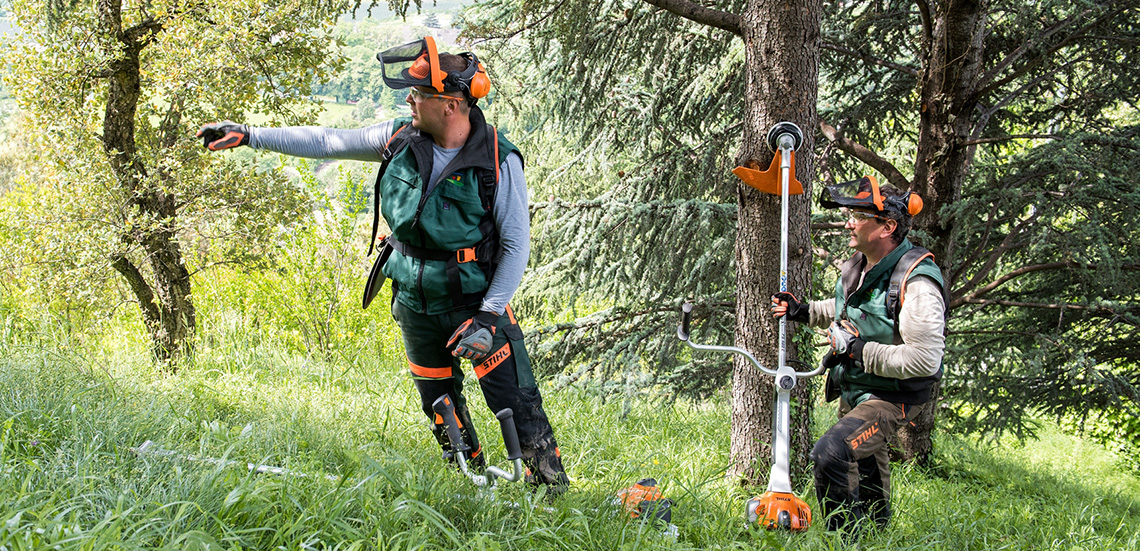 Motocoasa STIHL FS350 - IMPERIA.MD
